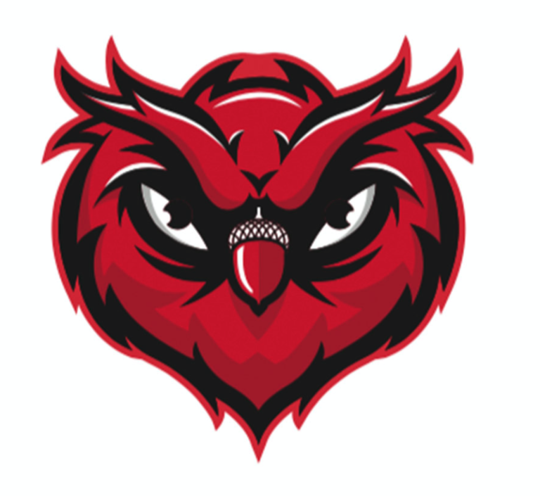 The Team – MLB Raleigh