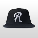 MLB Raleigh – A movement to bring Major League Baseball to Raleigh, NC